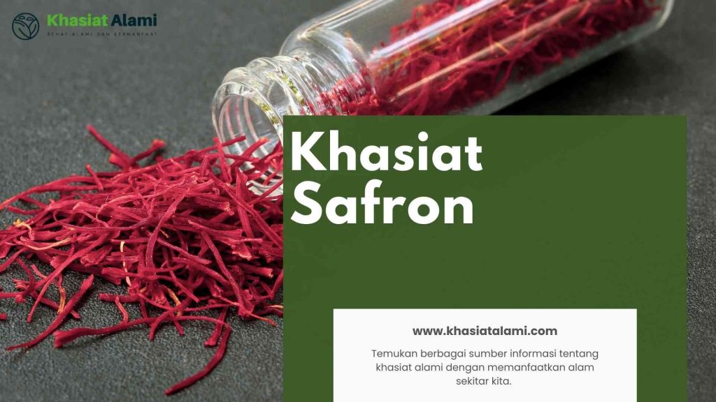 Yuk, Kenali Khasiat Safron yang Berkhasiat Untuk Mengatasi Berbagai ...